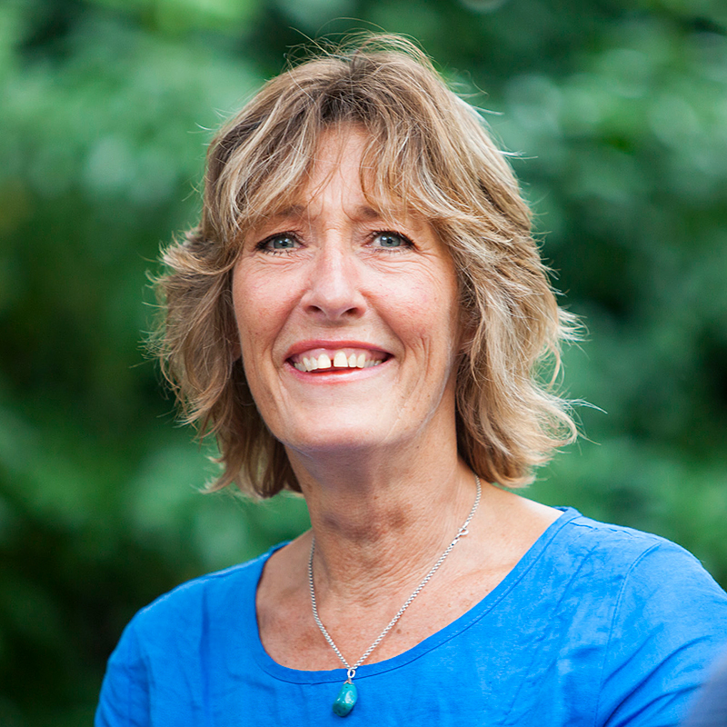 Anca Poll - Phoenix Opleidingen