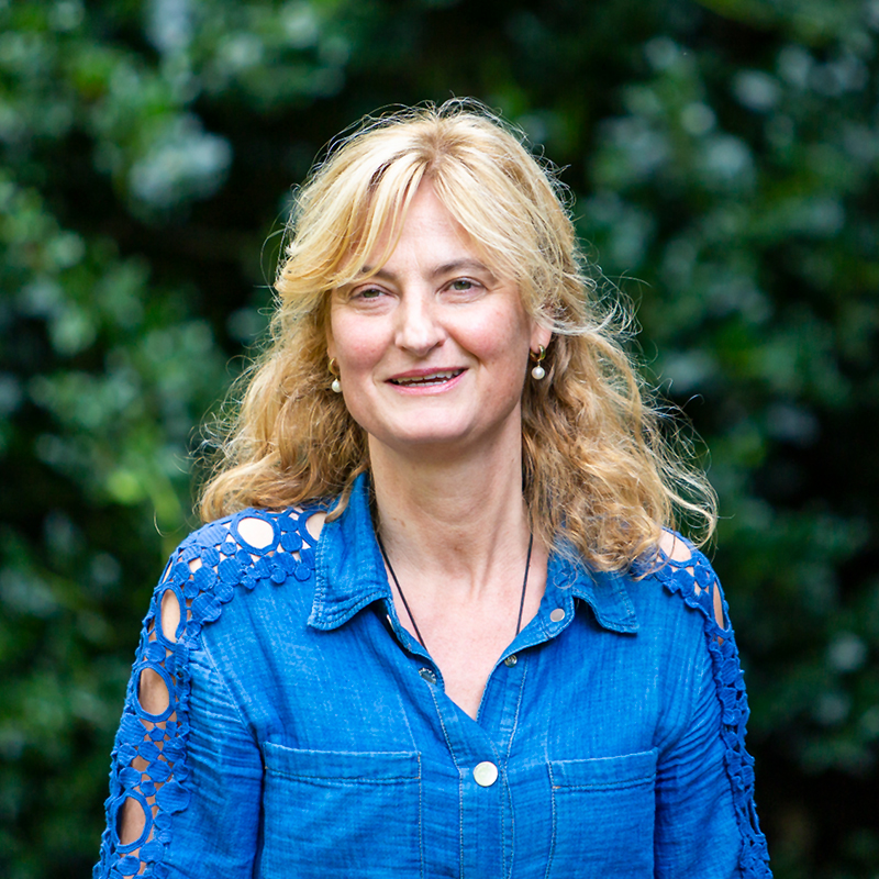 Trainers - Phoenix Opleidingen